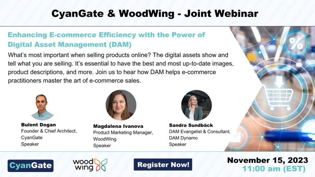 3 Steps for DAM Automation and Integration - Experts In Digital Asset ...